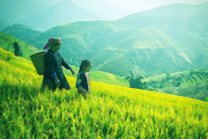 What is Sapient? – Sapient City